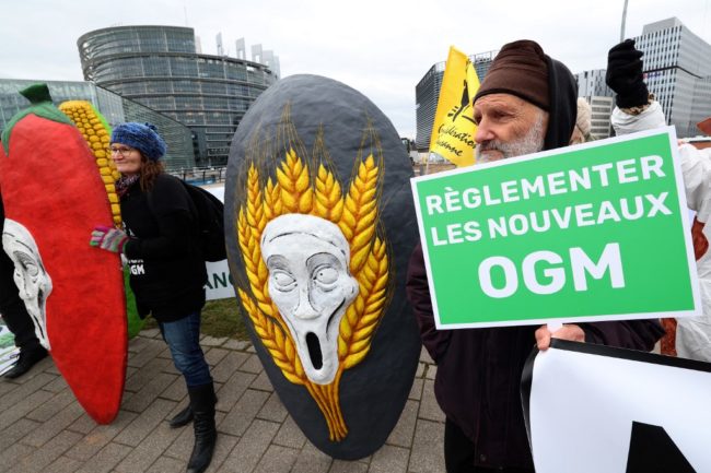 Les NGT, nouveaux OGM : progrès ou danger ? - Deklic