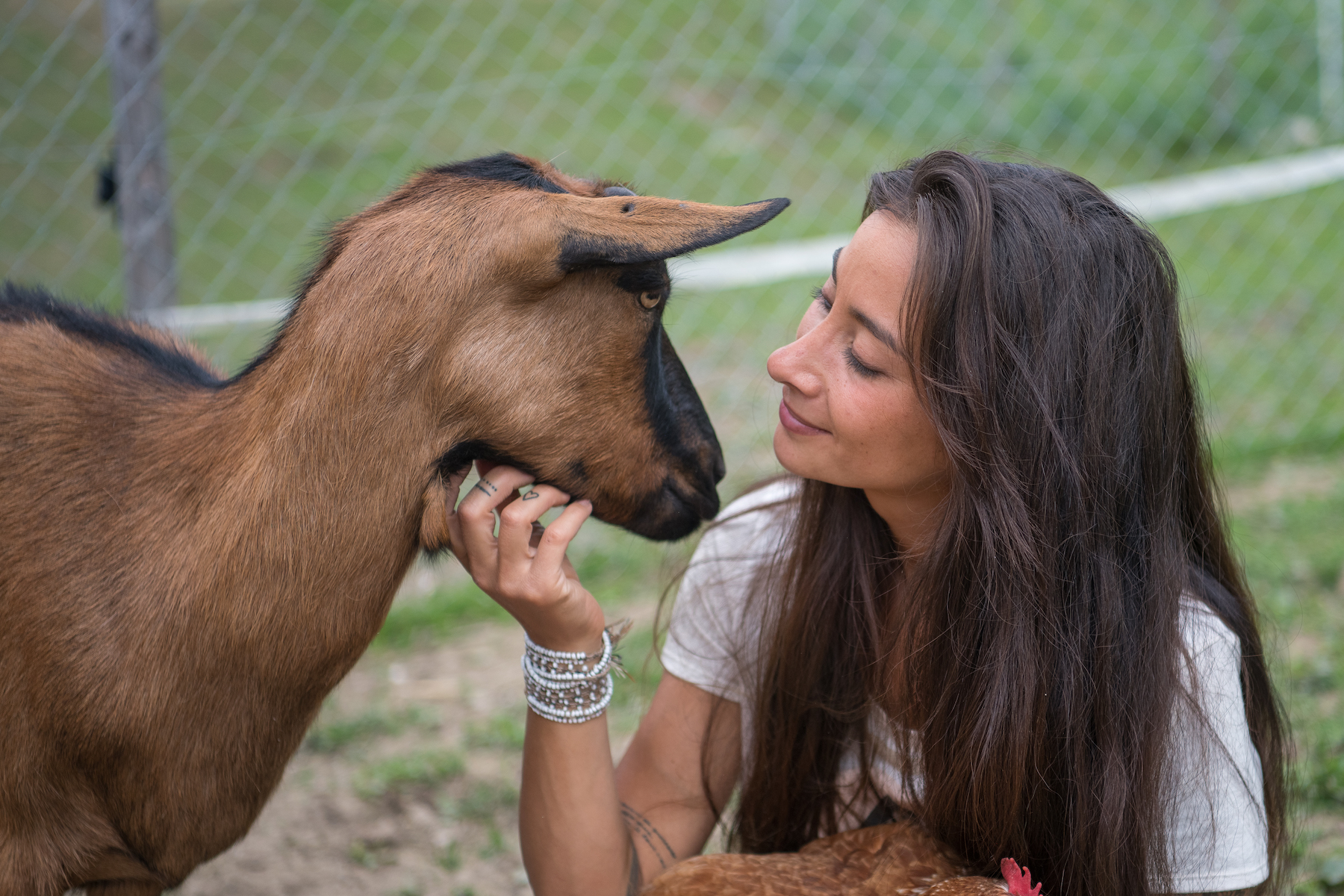 Virginia Markus, gardienne du sanctuaire Coexister : « On peut sortir ...