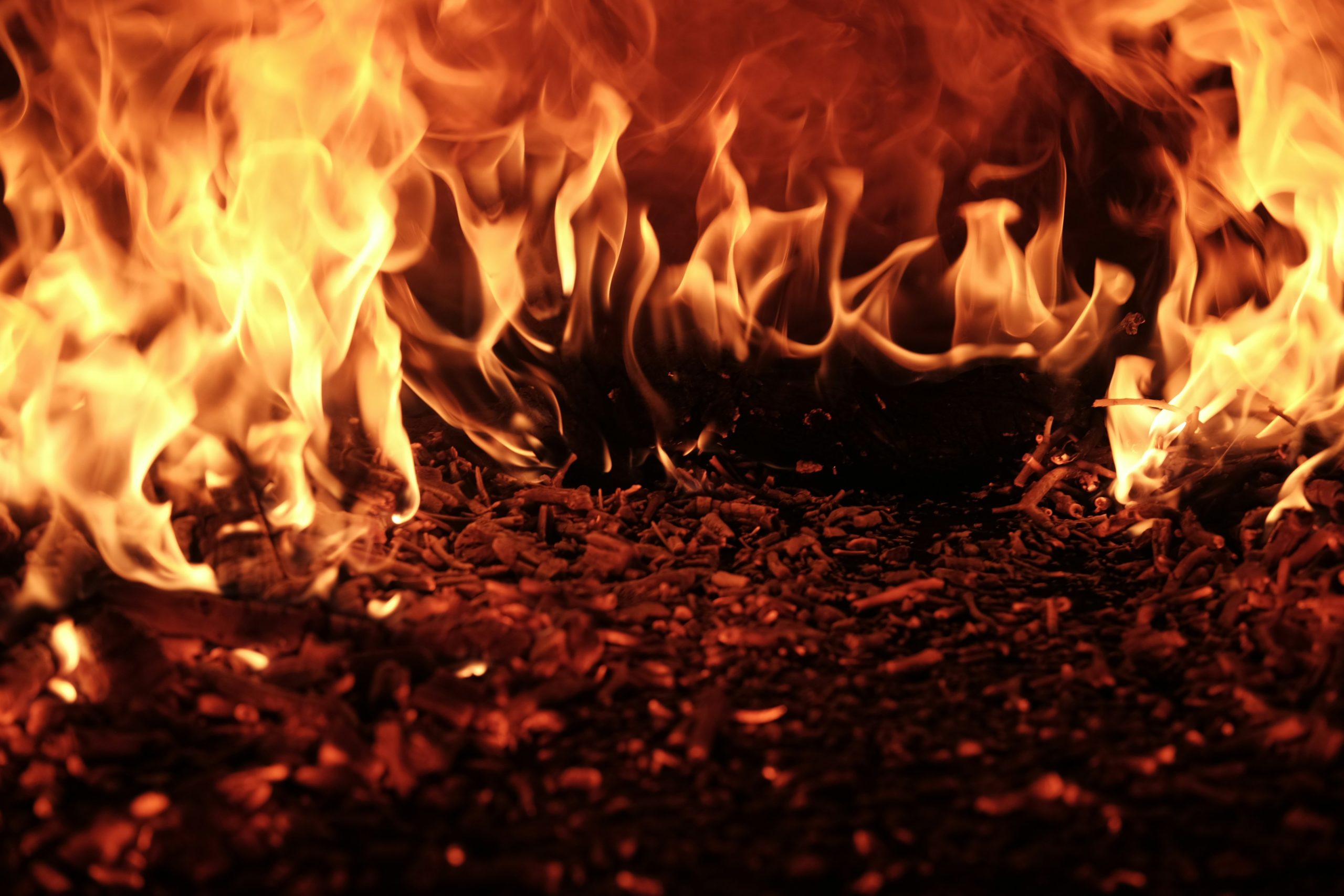 Incendies en Californie, accusations de Donald Trump et pénurie d’eau ...